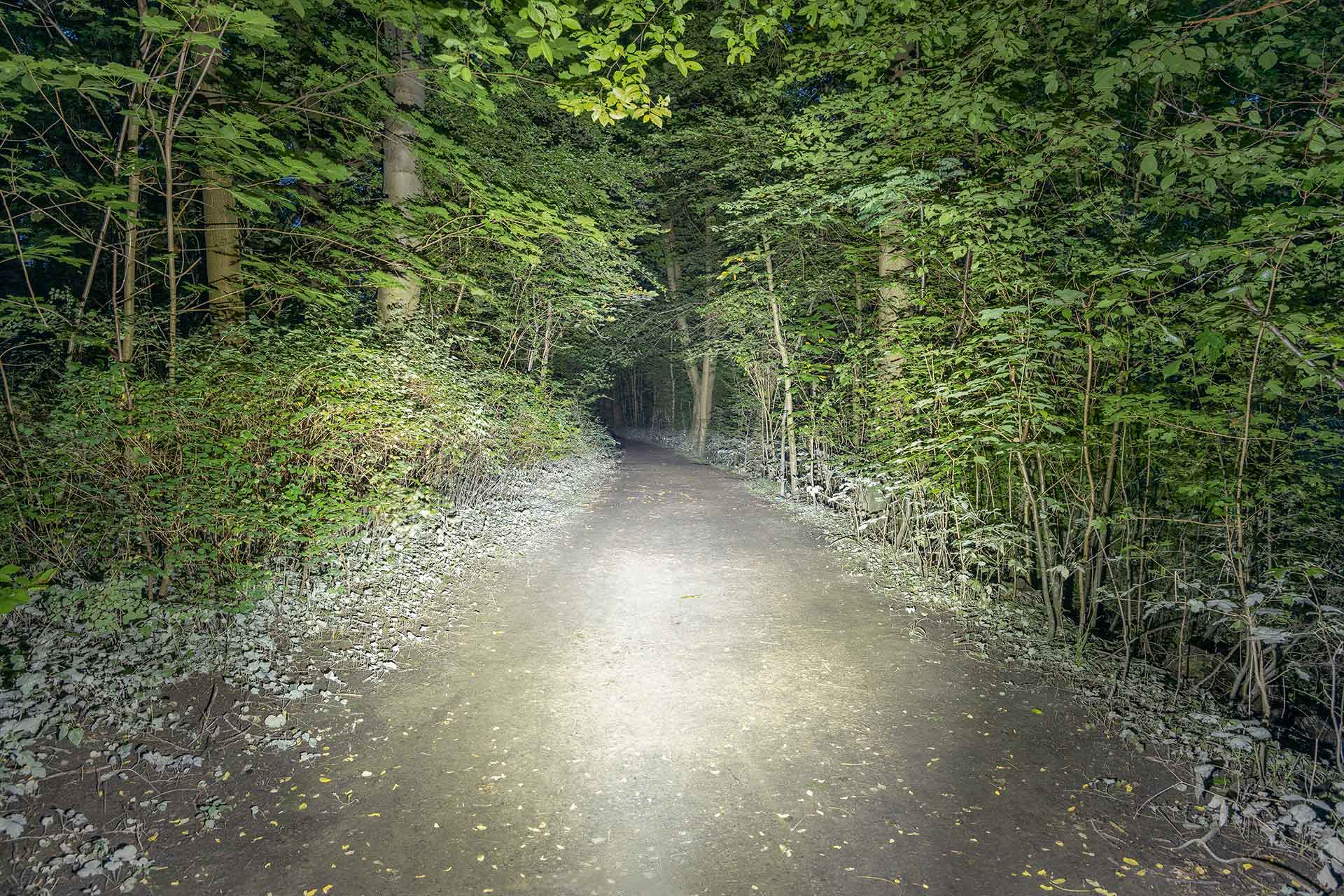 Light Experience - SIGMA