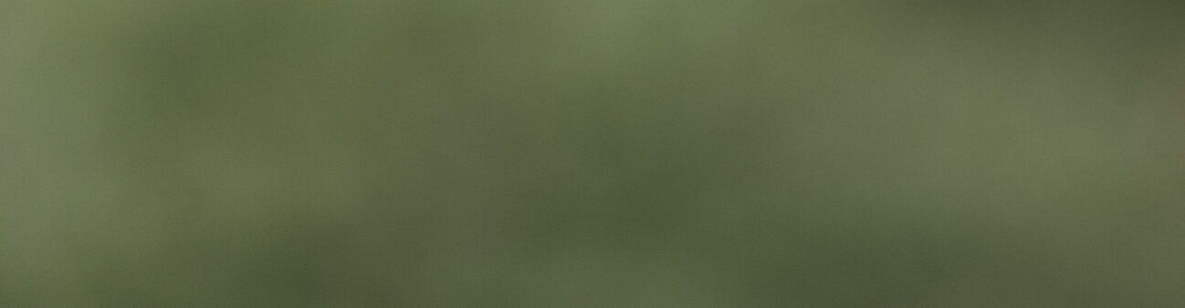 NUGGET II FLASH - Rear Light – Flash Mode - SIGMA