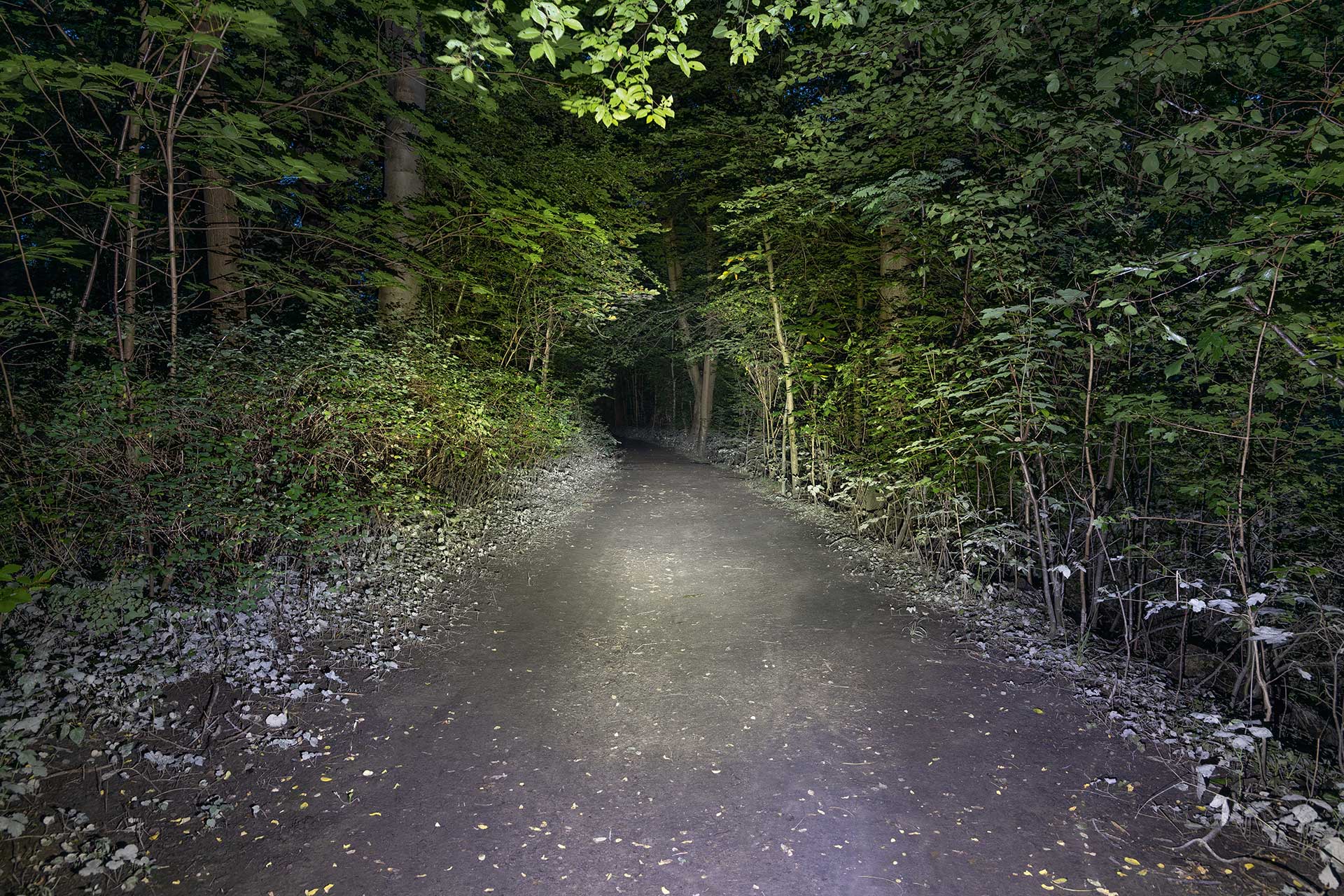 Light Experience - SIGMA