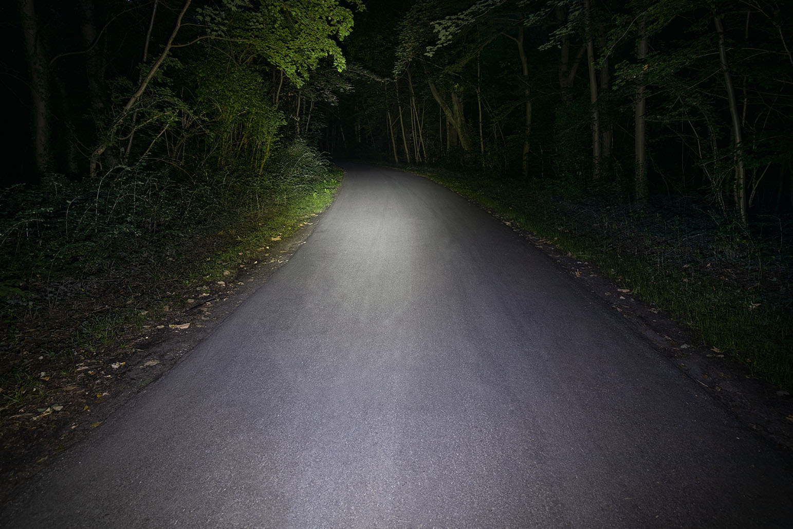 Light Experience - SIGMA